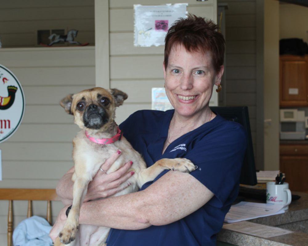 Veterinarian In Ephrata, PA 17522 | Conestoga Animal Hospital